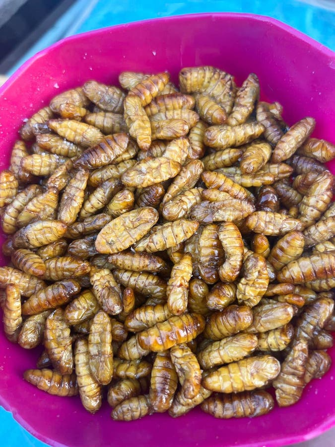 Fried Silk Worm on Pink Bowl Stock Image - Image of tasty, market ...