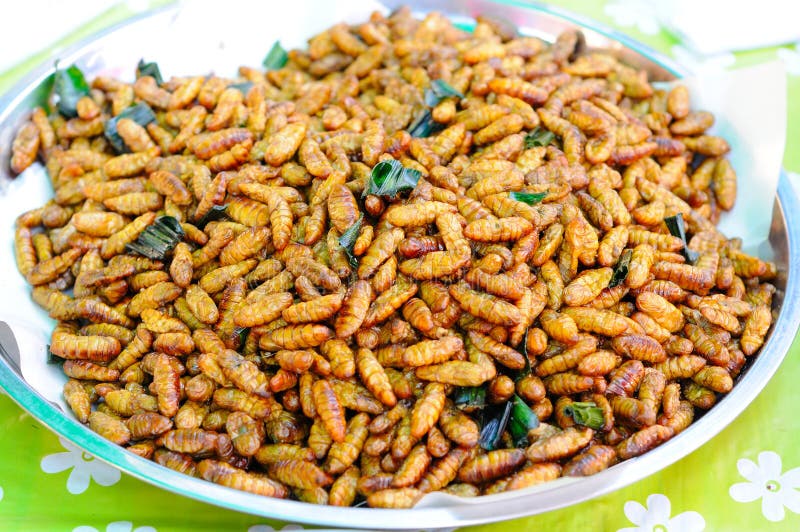 Fried in Oil Silkworm Larvae Stock Image - Image of larvae, deep: 28517651