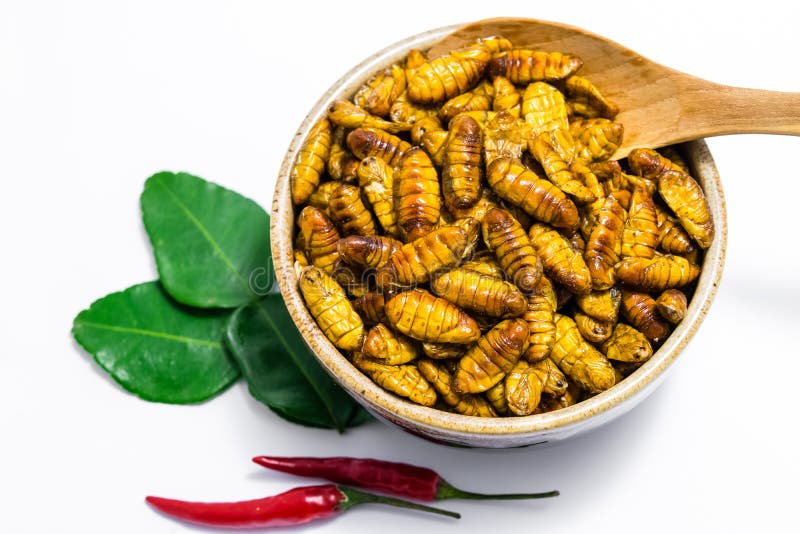 Fried silkworm`s pupa stock photo. Image of food, green - 144238820