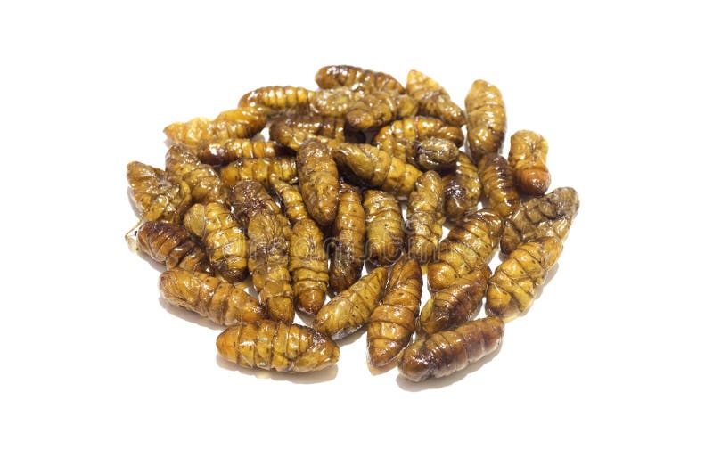 Beondegi stock image. Image of fast, chrysalis, market - 130470267