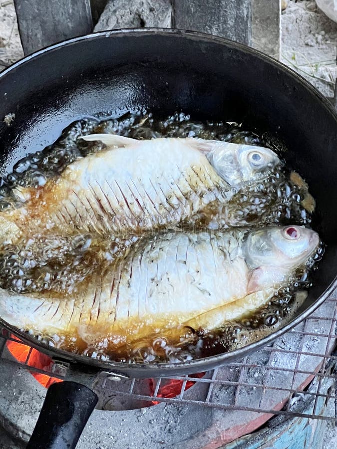 Fried Silver Barb Fish in the Pan Stock Image - Image of fried, close ...