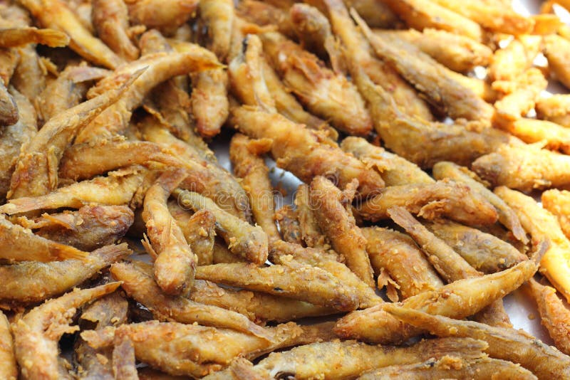 Fried small fish stock photo. Image of food, store, snack - 74483252