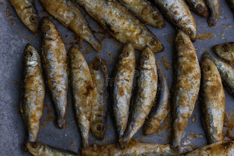 Fried Small Fish stock image. Image of cooking, food - 48393887