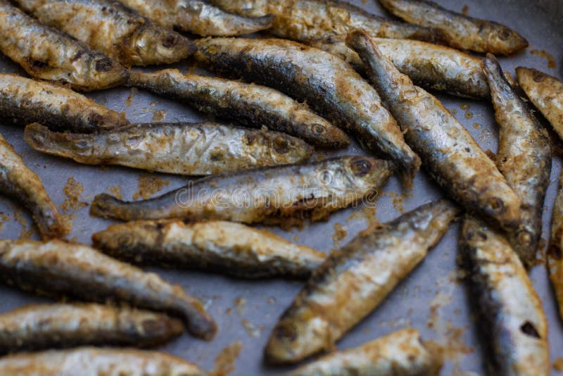 Fried Small Fish stock photo. Image of fried, cooking - 48393968
