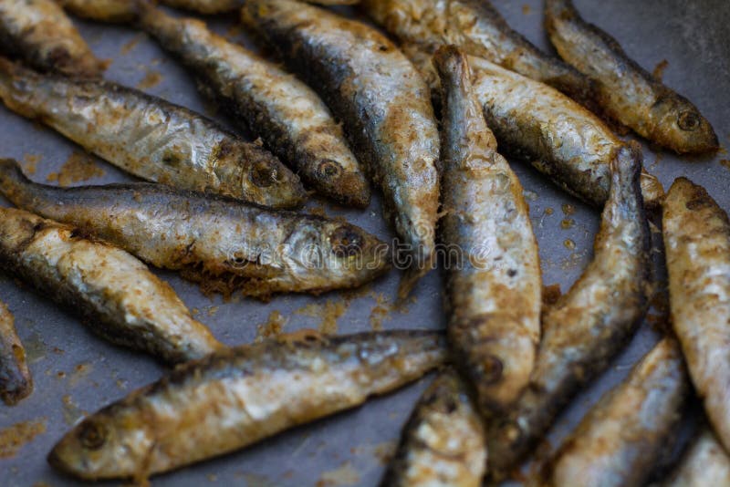 Fried Small Fish stock image. Image of cooking, meal - 48393999