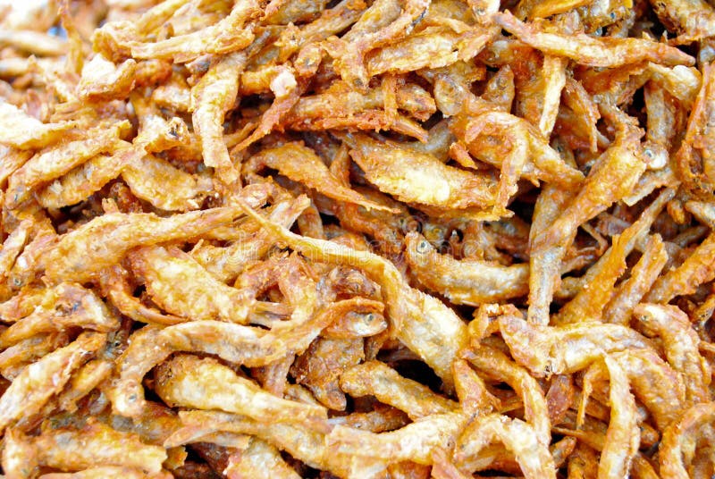 Fried small fish stock image. Image of ethnic, fishes - 32543589
