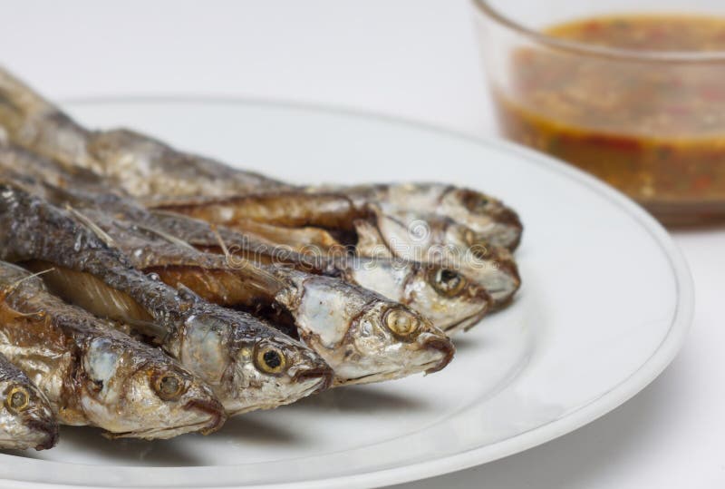 Fried small fish stock image. Image of closeup, crispy - 31232831