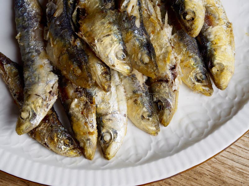 Fried small sardine stock photo. Image of snack, fresh - 100838188