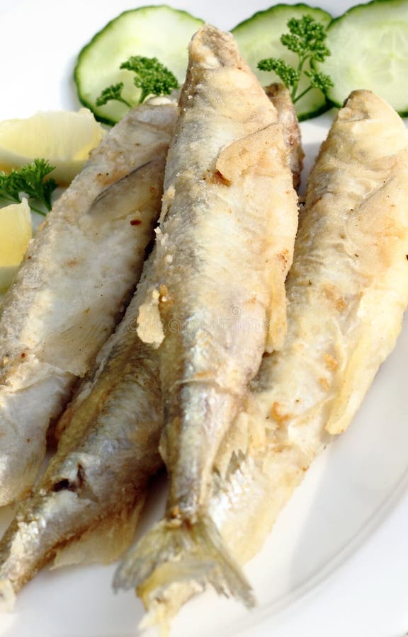 Fried smelt stock photo. Image of light, seafood, dish - 29483766