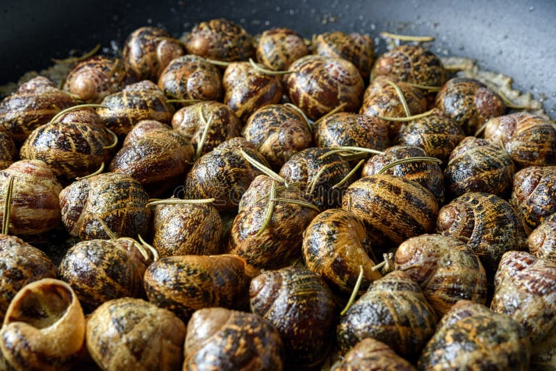 Fried Snails in a Frying Pan with Rosemary Stock Photo - Image of asia ...