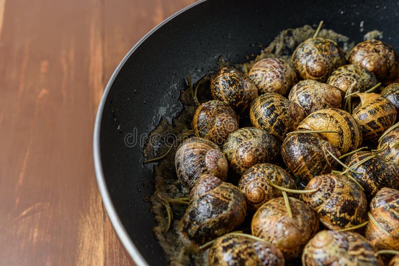 355 Fried Snails Stock Photos - Free & Royalty-Free Stock Photos from ...