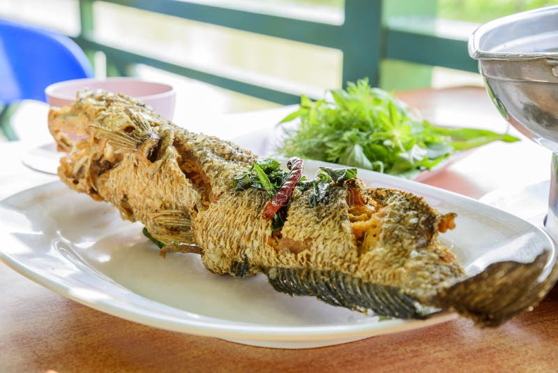 Fried snakehead fish stock image. Image of cuisine, meal - 56118989