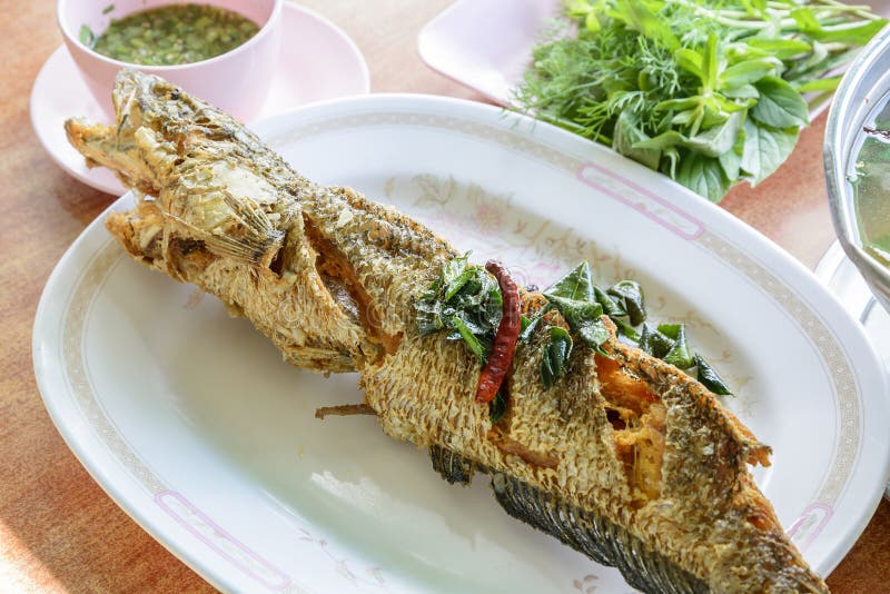 Fried snakehead fish stock image. Image of vegetable - 56119023