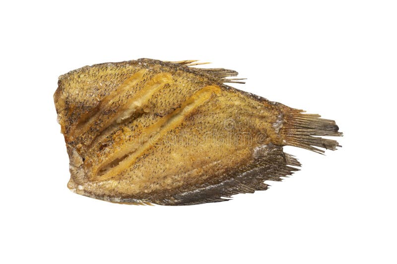 Snakeskin Gourami Fish Drying in the Outside Stock Photo - Image of ...