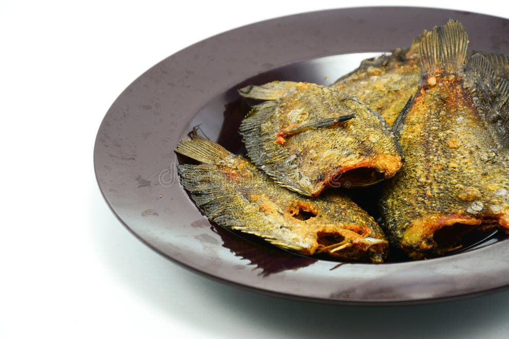 Fried Snakeskin gourami stock photo. Image of culture - 39057776