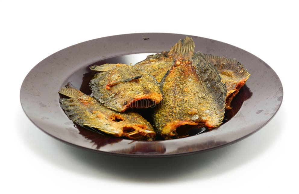 Fried Snakeskin gourami stock image. Image of threshing - 39057999