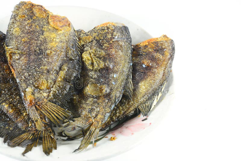 Fried Snakeskin Gourami on White Stock Photo - Image of salt, market ...