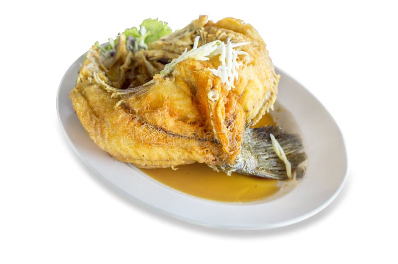 Scorched Snapper Topped on White Plate, Die Cut in White Background ...