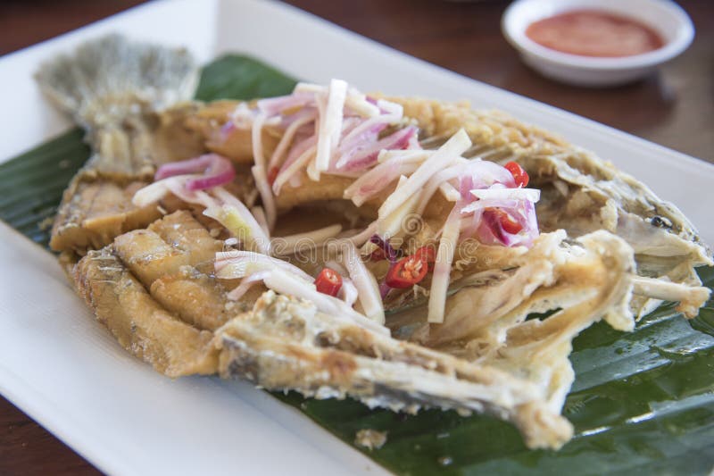 Fried snapper fish stock image. Image of white, background - 105377981