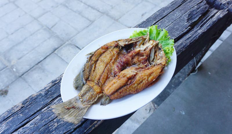 Fried snapper stock image. Image of feed, salted, fish - 50278305