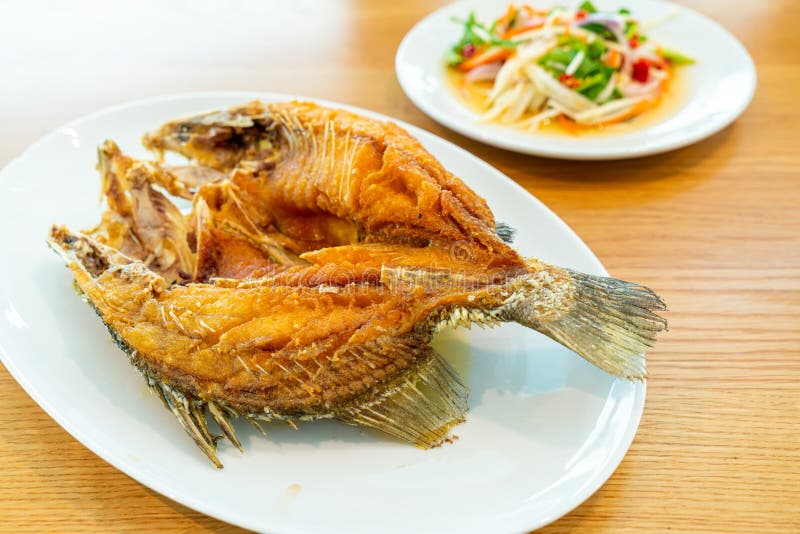 Fried Snapper Fish Topped with Fish Sauce Stock Image - Image of meal ...