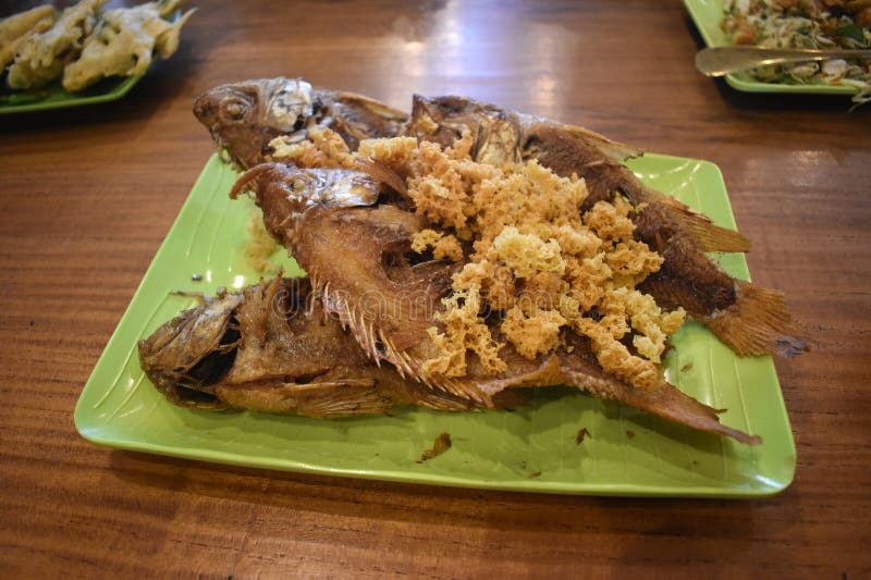 Fried Snapper Served on a Green Plate Stock Image - Image of green ...