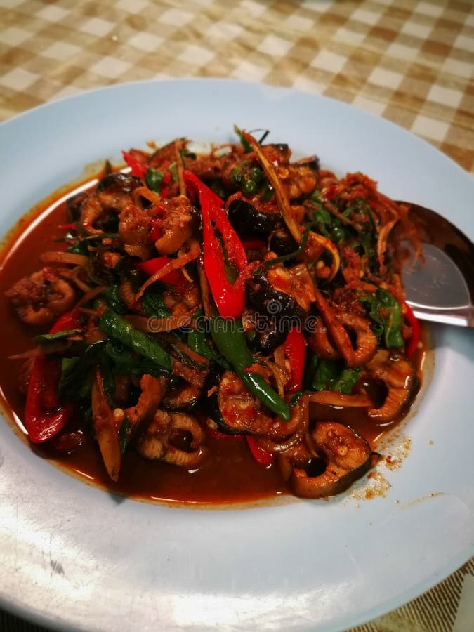 Fried Spicy Eel. Hot and Spicy Stir - Fried Ell in Plate on the Stock ...