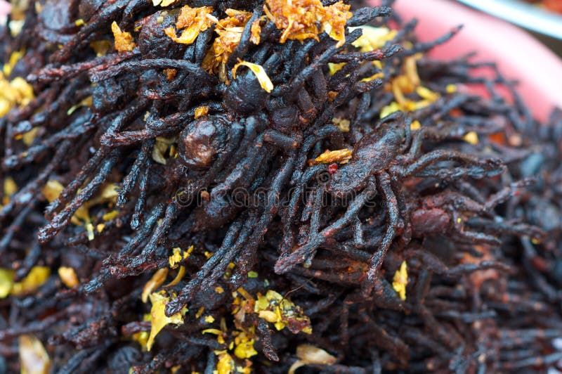 Fried Spider Cambodia stock image. Image of food, culture - 23699545