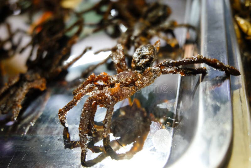 Fried Maggots imagen de archivo. Imagen de camboya, coseche - 74537109