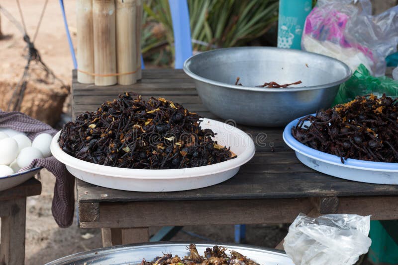 Skun Market Stock Photos - Free & Royalty-Free Stock Photos from Dreamstime