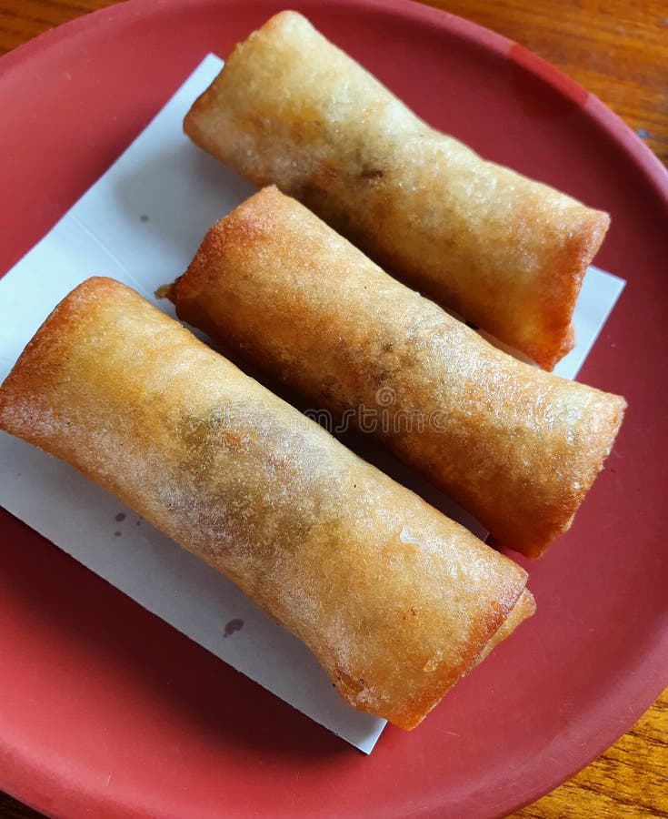 Fried Spring Rolls. Food on Red Plate Stock Image - Image of ...