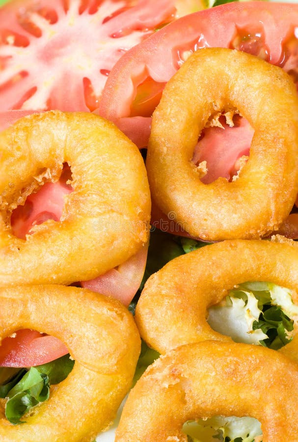 Fried squid rings stock photo. Image of salad, fried - 21224526