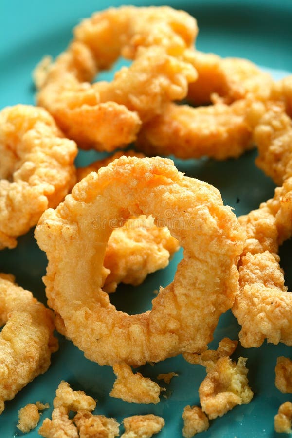 Fried squids stock image. Image of delicious, porcelain - 2050995
