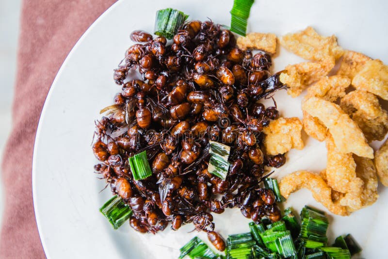 Fried subterranean ants stock image. Image of appetizer - 77489849