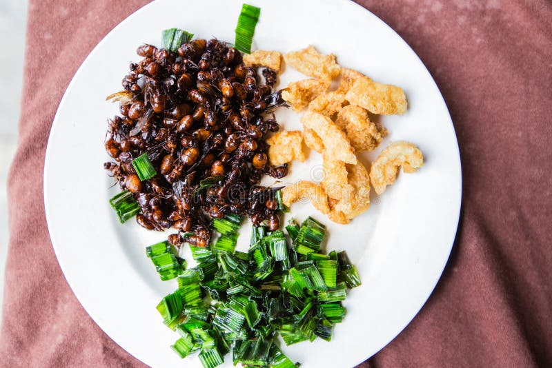 Fried subterranean ants stock image. Image of food, common - 77489849
