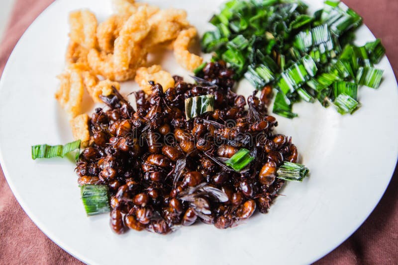 Fried subterranean ants stock image. Image of appetizer - 77489849