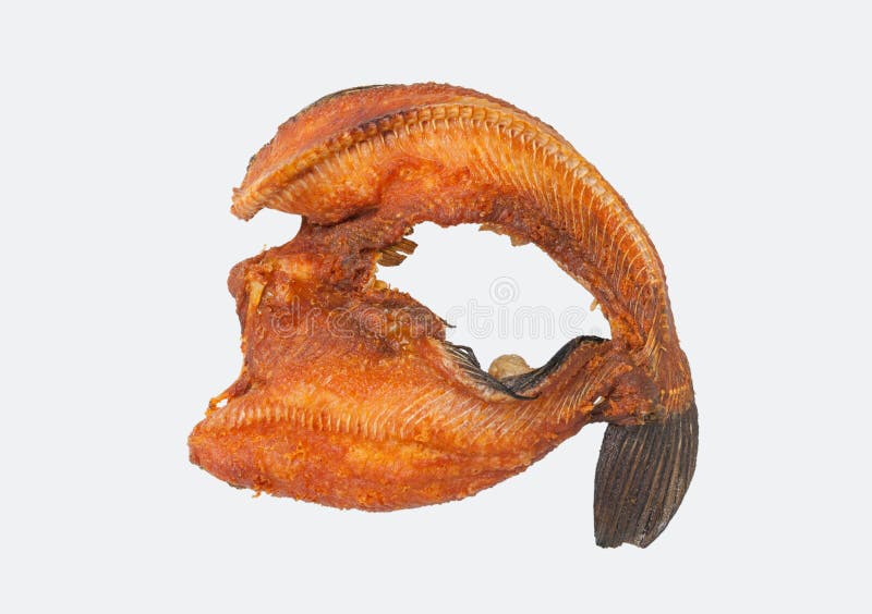 Fried Sun Dried Striped Snakehead Fish, Isolated Stock Image - Image of ...