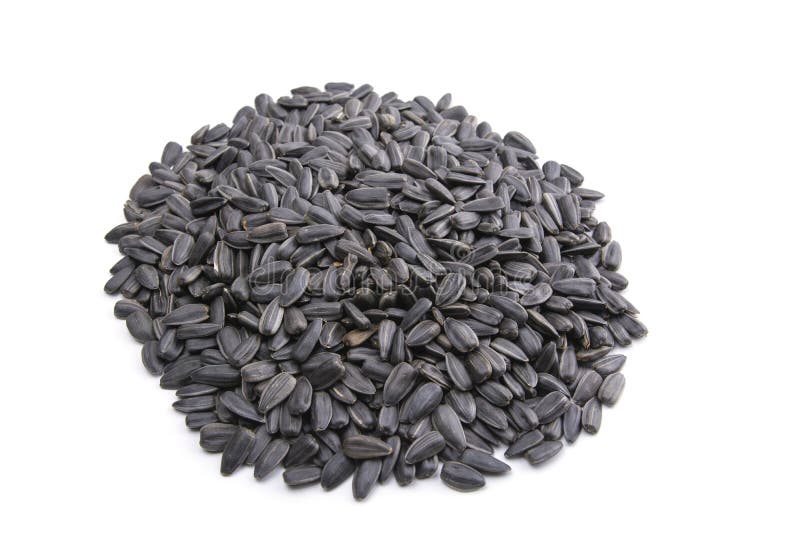 Fried Sunflower Seeds on a White Isolated Background Stock Photo ...