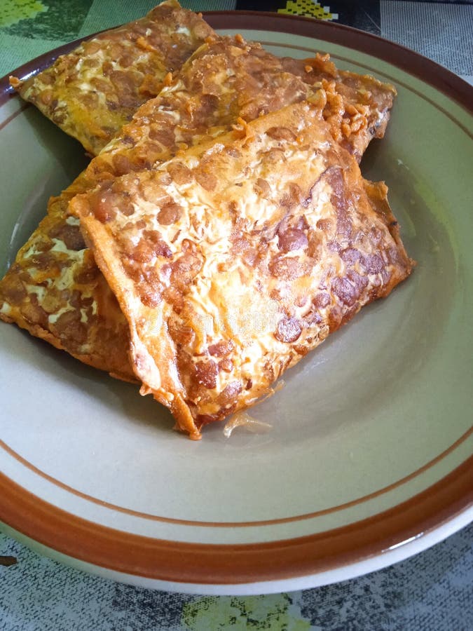 Fried tempe dish stock photo. Image of vegetable, meat - 250322392