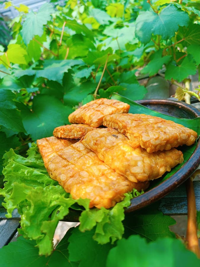 FRIED TEMPE INDONESIAN SPECIAL FOOD Stock Photo - Image of fried ...