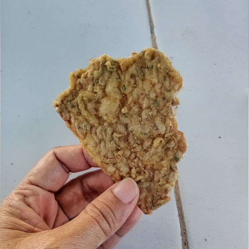 Fried tempe slices stock photo. Image of chips, indonesianfood - 250316326