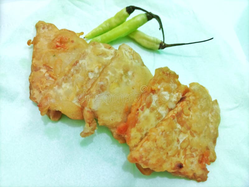 Fried Tempeh from Indonesian, Made from Soyabeans Fermentation Stock ...
