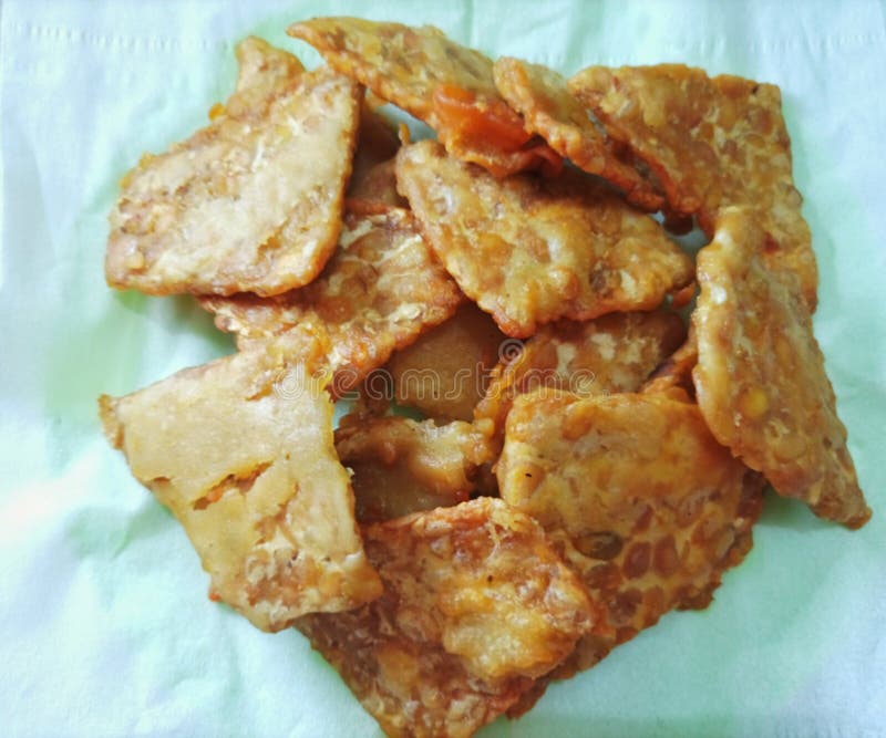 Fried Tempeh from Indonesian Stock Image - Image of dish, vegetable ...