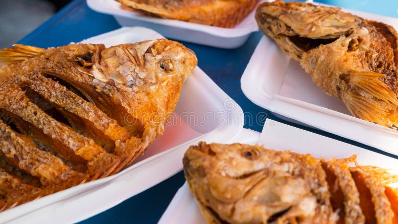 Fried tilapia in box stock image. Image of tilapia, nutrition - 90181085