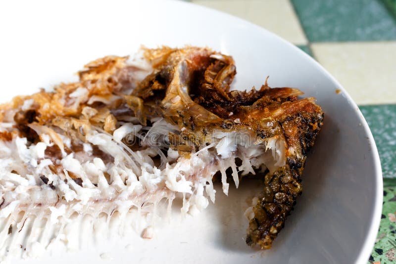 Fried tilapia Fish s bone stock photo. Image of bone - 54527402