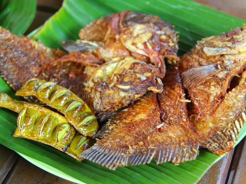 Stinkybean Stock Photos - Free & Royalty-Free Stock Photos from Dreamstime