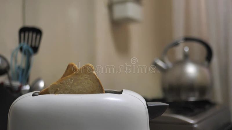 Fried Toast Bread Pops Out of a White Modern Toaster. Nobody Stock ...