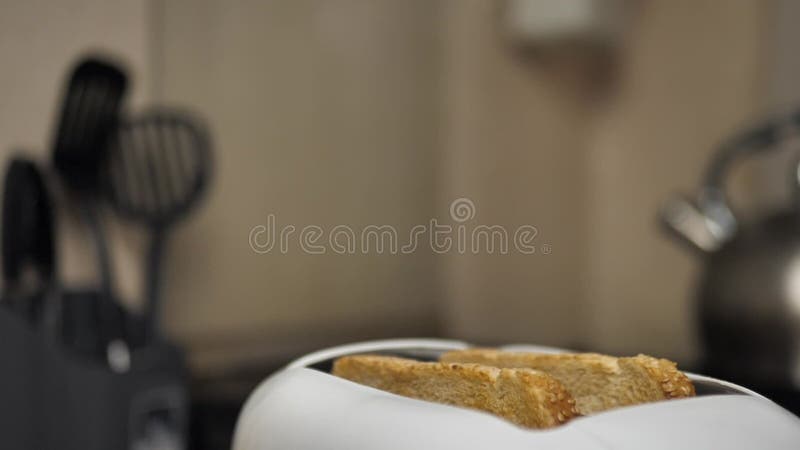 Fried Toast Bread Pops Out of a White Modern Toaster, Slow Motion Stock Footage - Video of ...