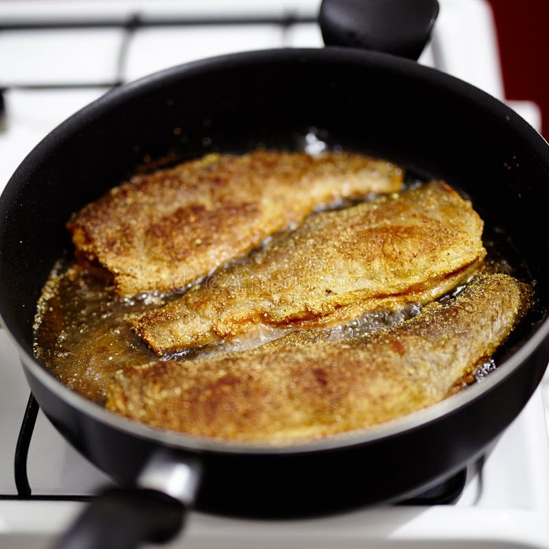 Fried trout preparation stock photo. Image of delicious - 49706754