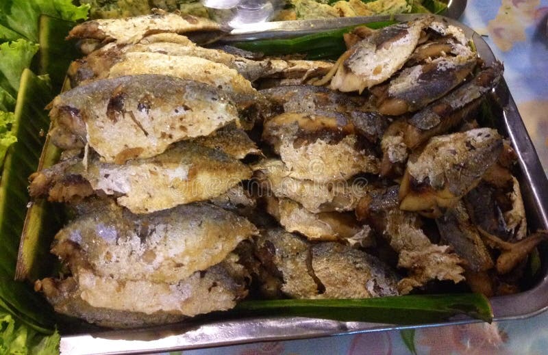 Fried Tuna editorial image. Image of tuna, fish, marine - 47186280